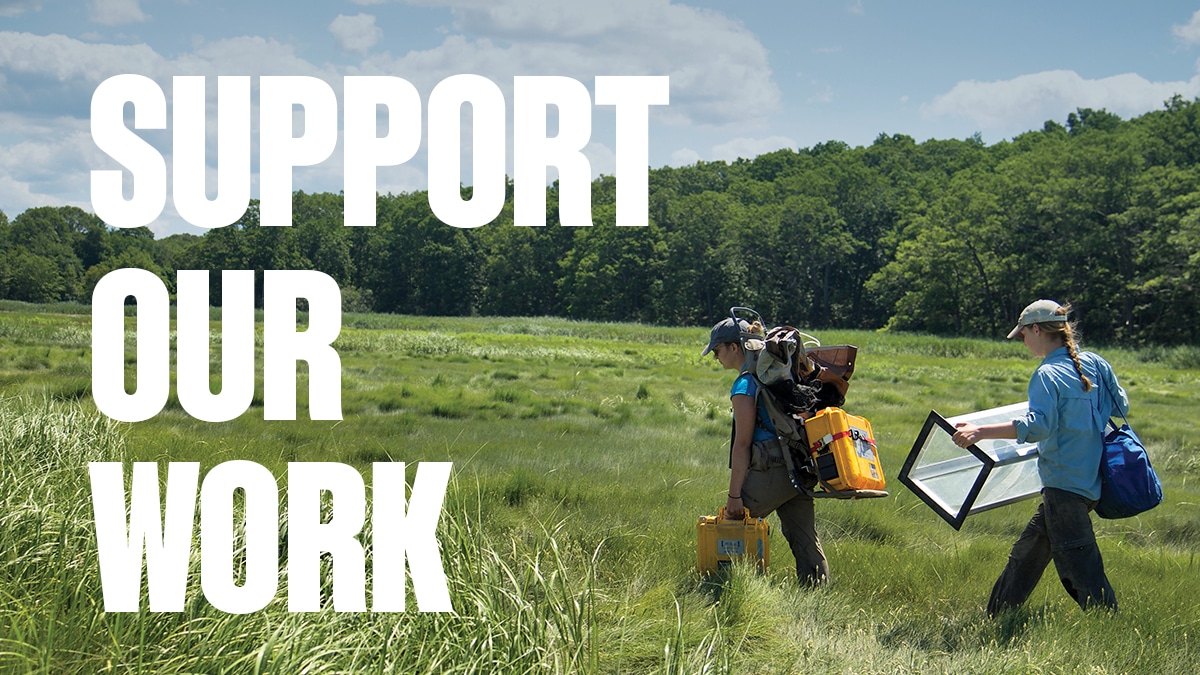 Now more than ever: Support our science - Woodwell Climate