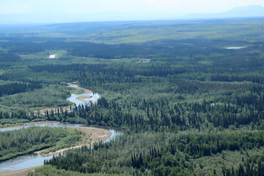 Fund for Climate Solutions awards five new grants - Woodwell Climate